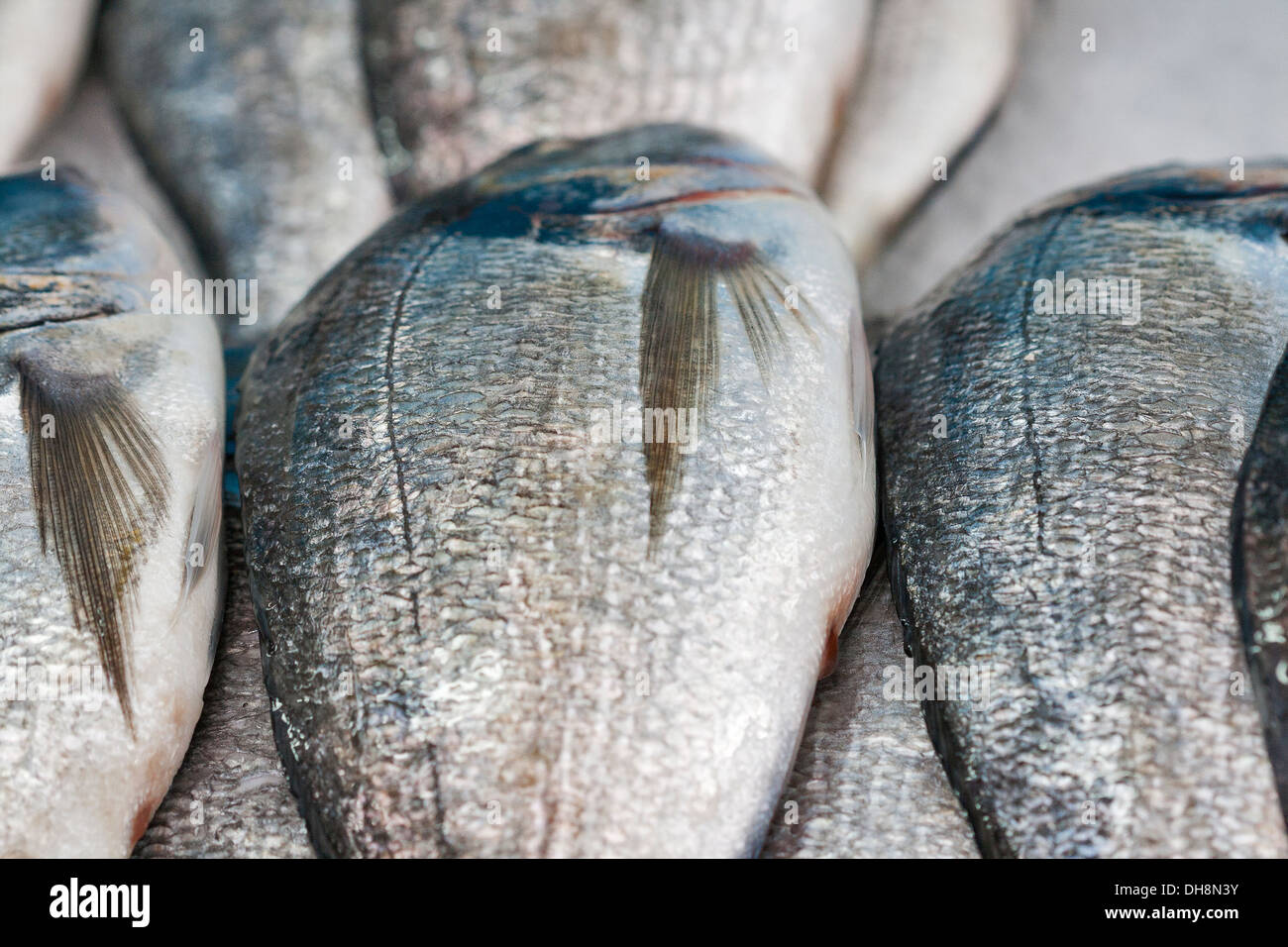 How to skin a fish hi-res stock photography and images - Alamy