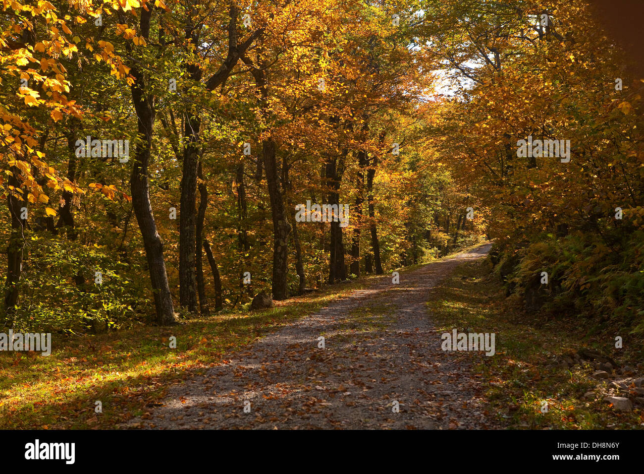 Mount everett massachusetts hi-res stock photography and images - Alamy