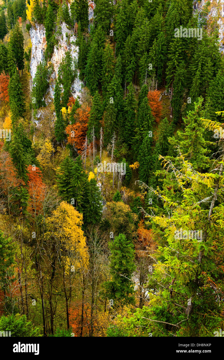 Autumn in bavaria hi-res stock photography and images - Alamy