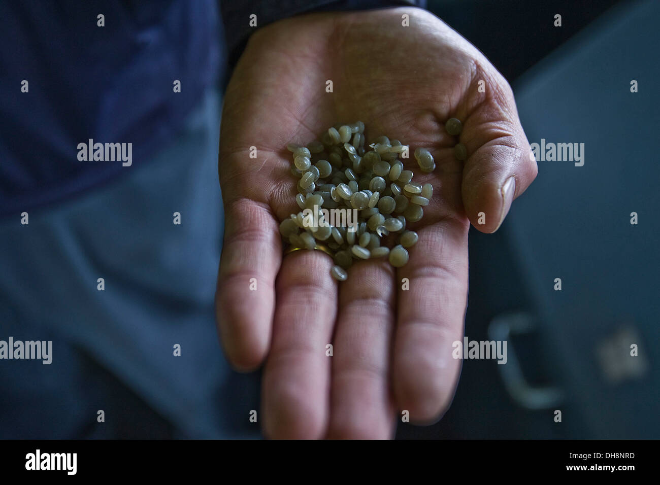 Some of the processed plastic pellets that are made using recycled ...
