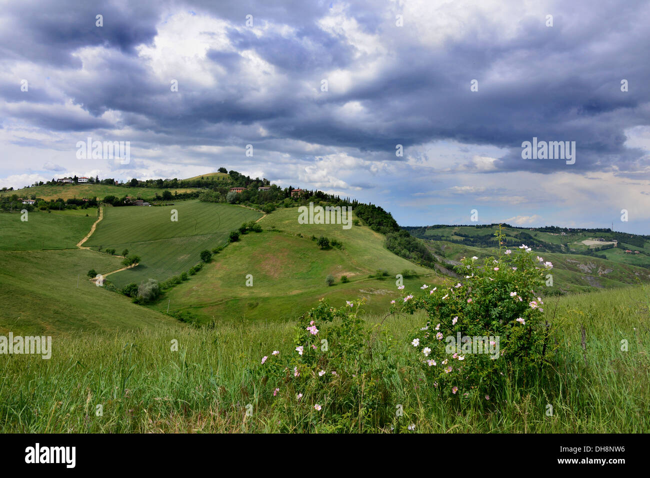 view of the hill in spring Stock Photo - Alamy