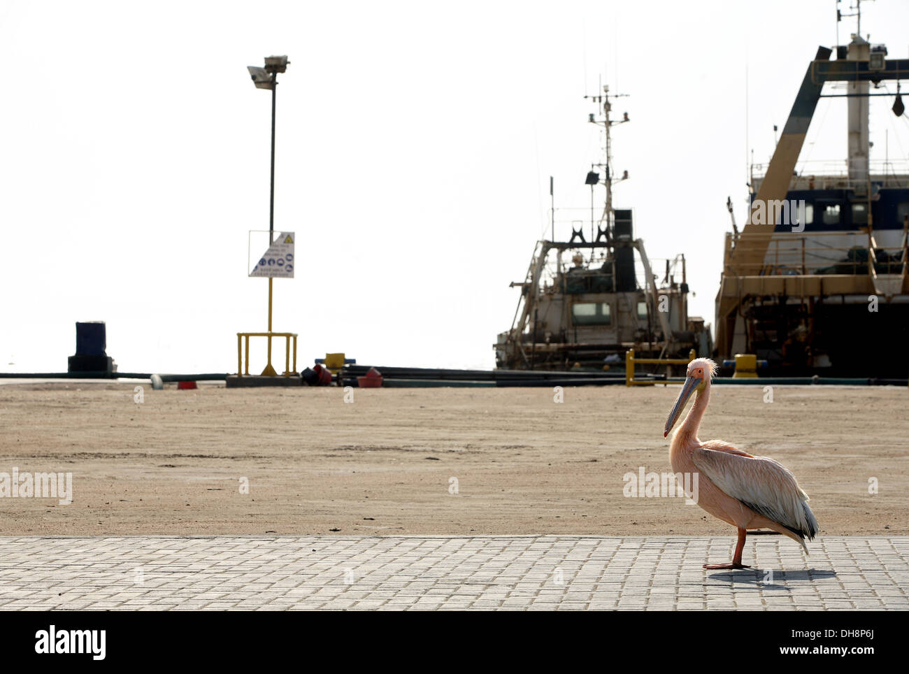 Nuwerus is a small town next to the N7 that goes up the West Coast into ...