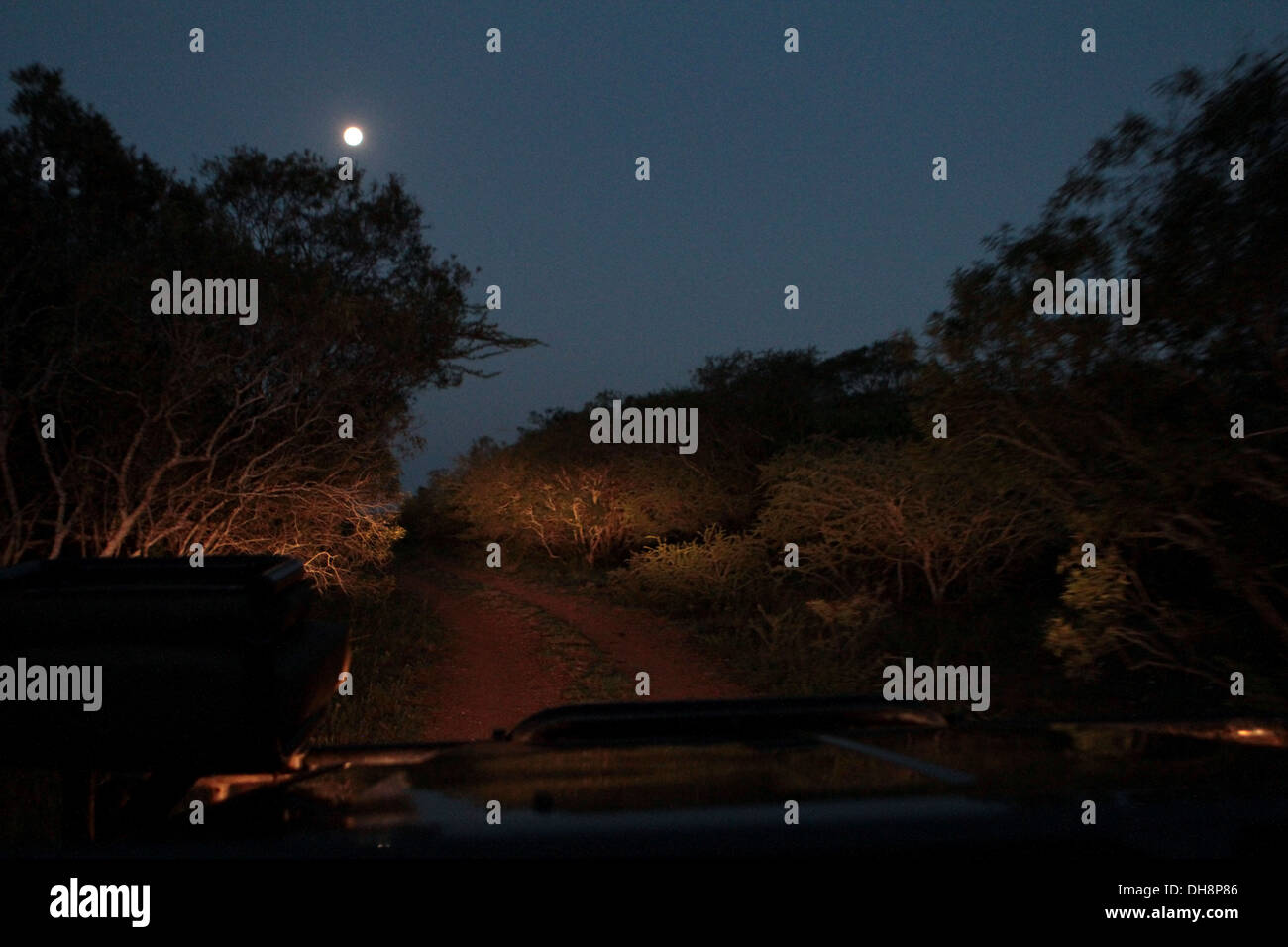 Nuwerus is a small town next to the N7 that goes up the West Coast into ...