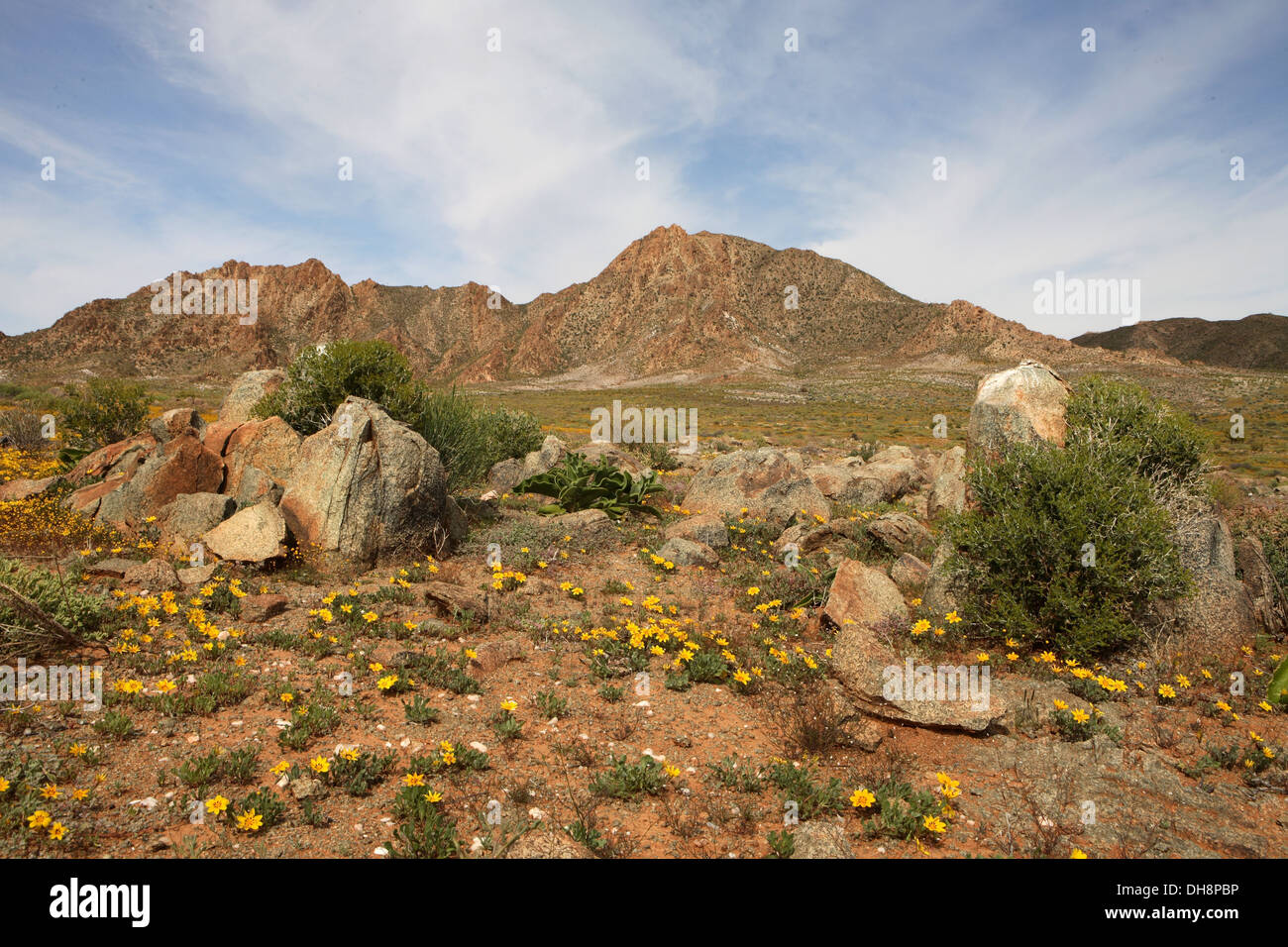 Nuwerus is a small town next to the N7 that goes up the West Coast into ...