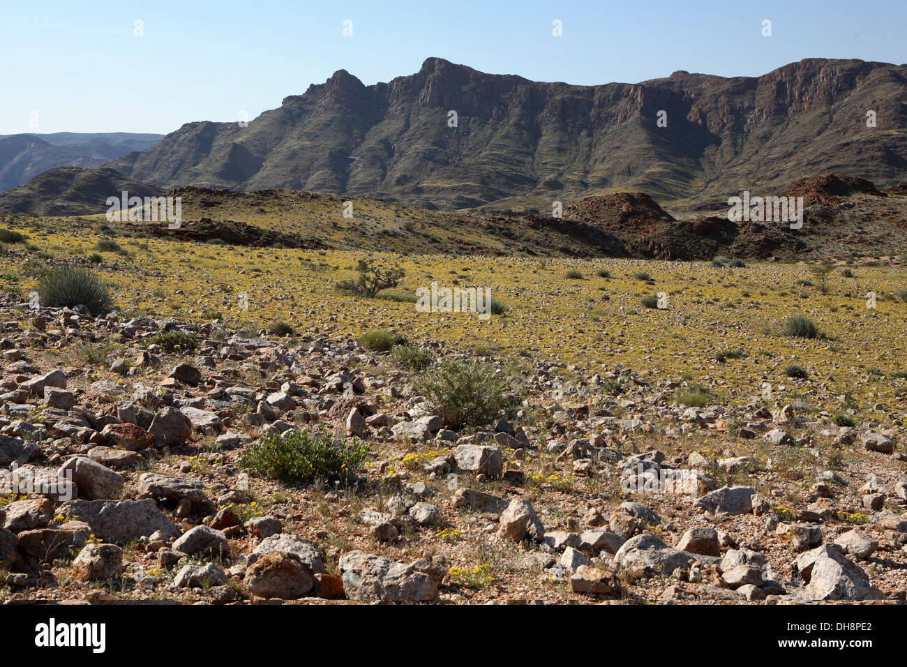 Nuwerus High Resolution Stock Photography and Images - Alamy