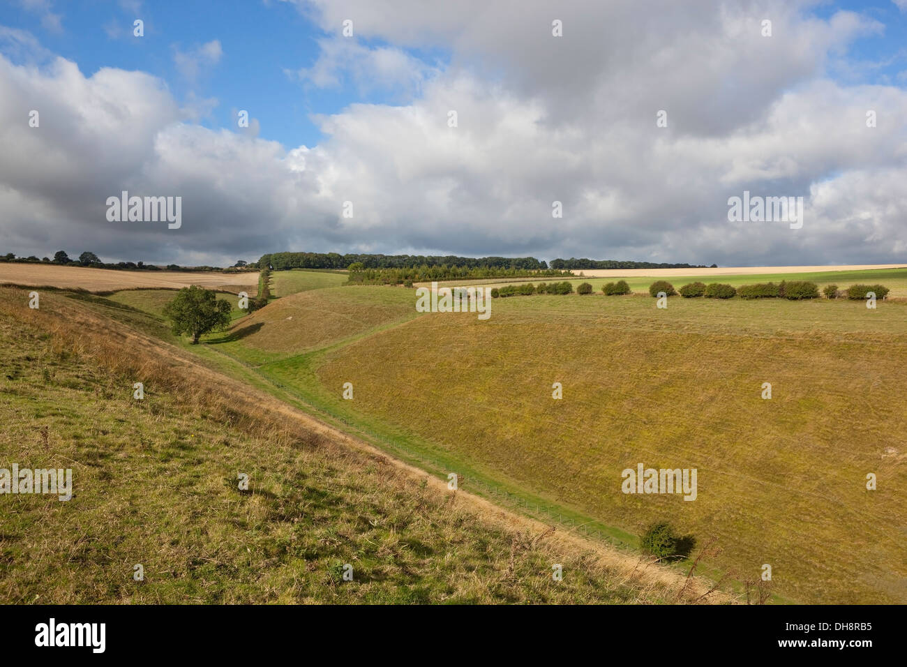 The picturesque valley of Horsedale in the Yorkshire wolds, England ...