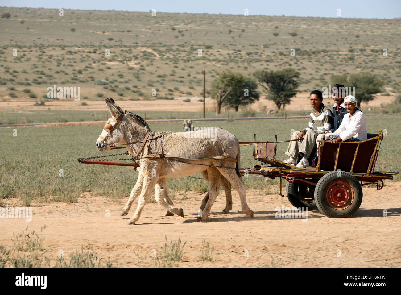 Nuwerus is a small town next to the N7 that goes up the West Coast into ...