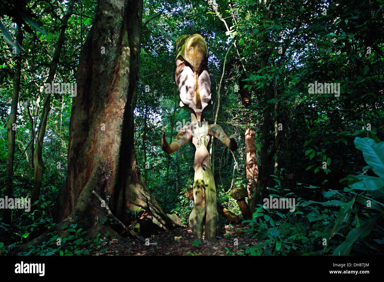 Oshogbo hi-res stock photography and images - Alamy