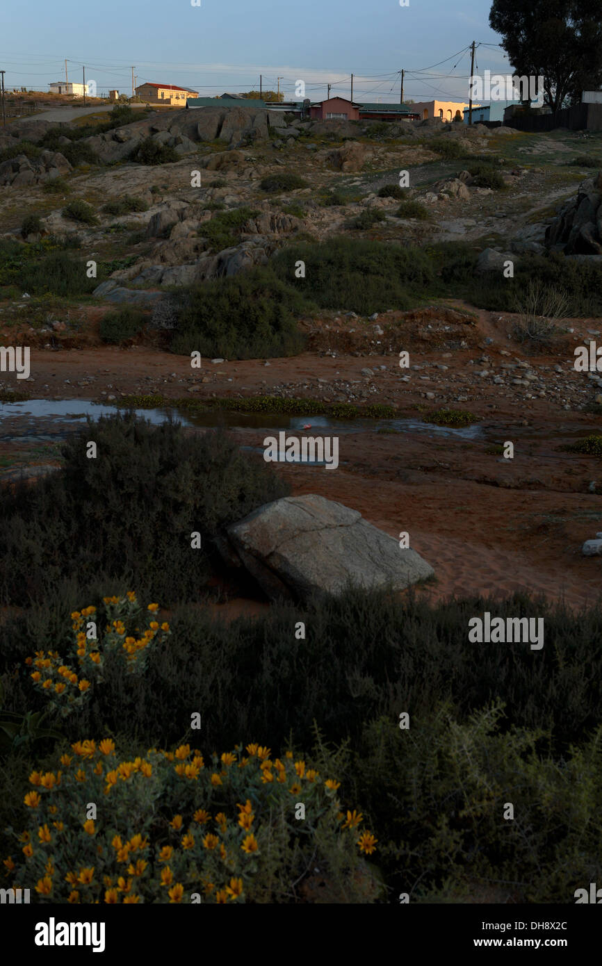 Nuwerus is a small town next to the N7 that goes up the West Coast into ...