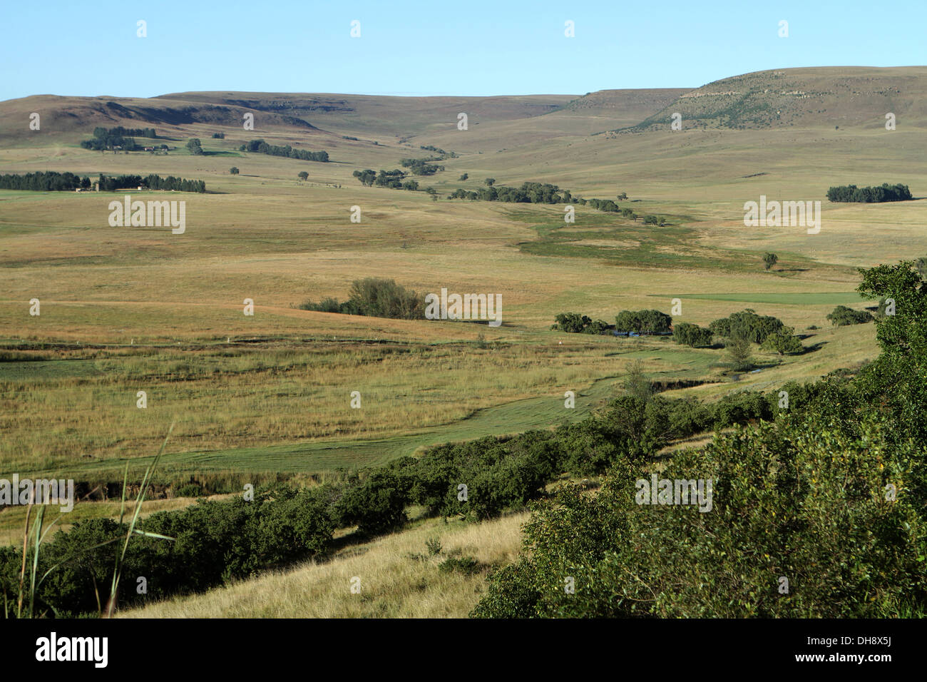 Nuwerus is a small town next to the N7 that goes up the West Coast into ...