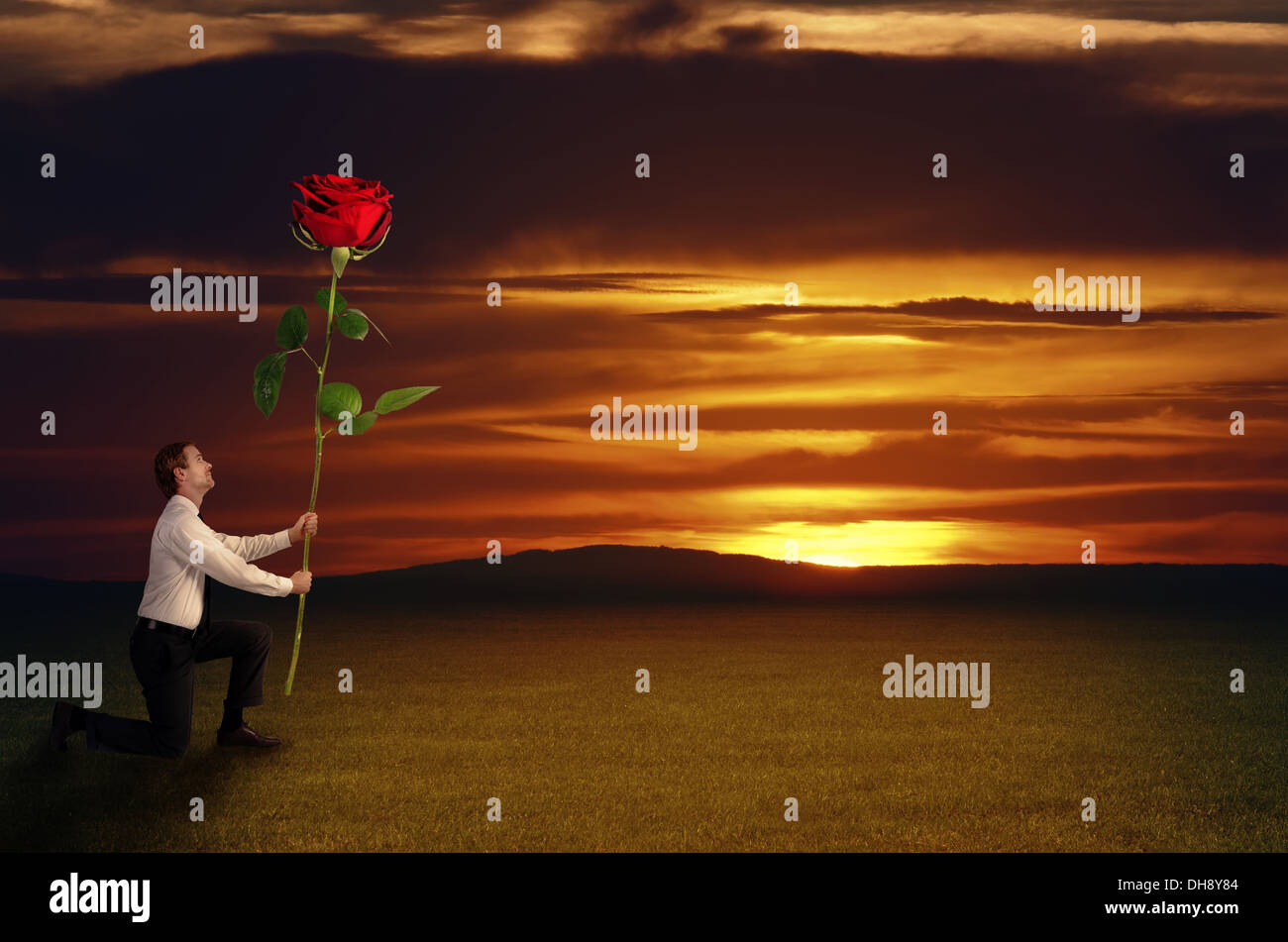 Man with a rose hi-res stock photography and images - Alamy