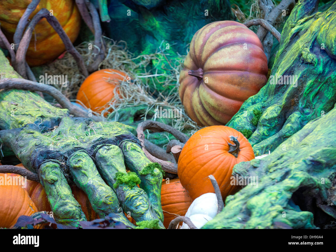 Fall season in Bellagio Hotel Conservatory & Botanical Gardens Stock ...