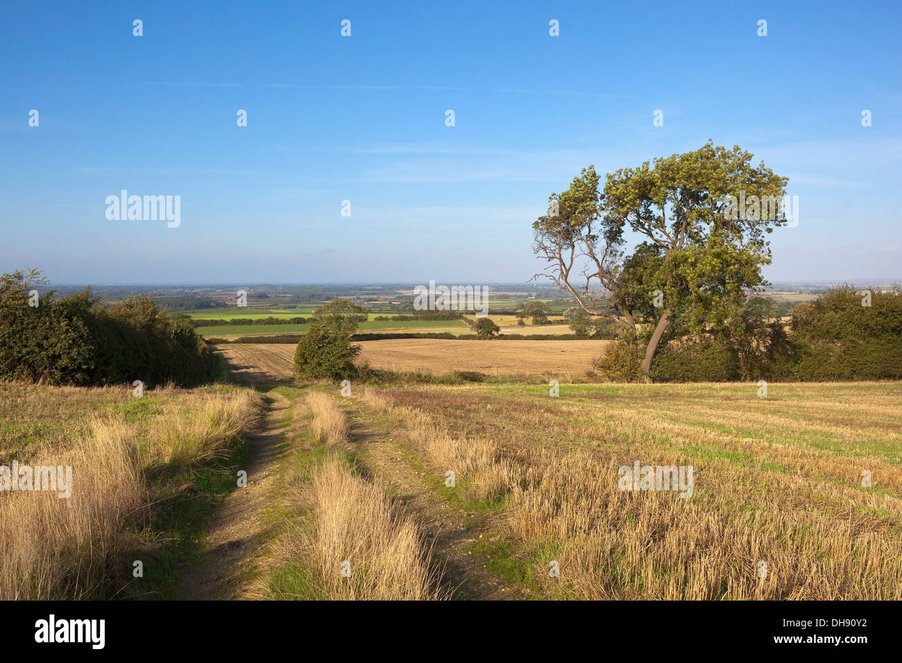English Autumn landscape with the distant vale of York viewed from a ...