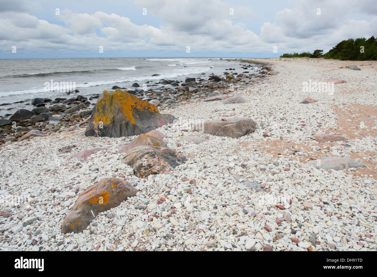 Morning at Hiiumaa island, Estonia Stock Photo - Alamy