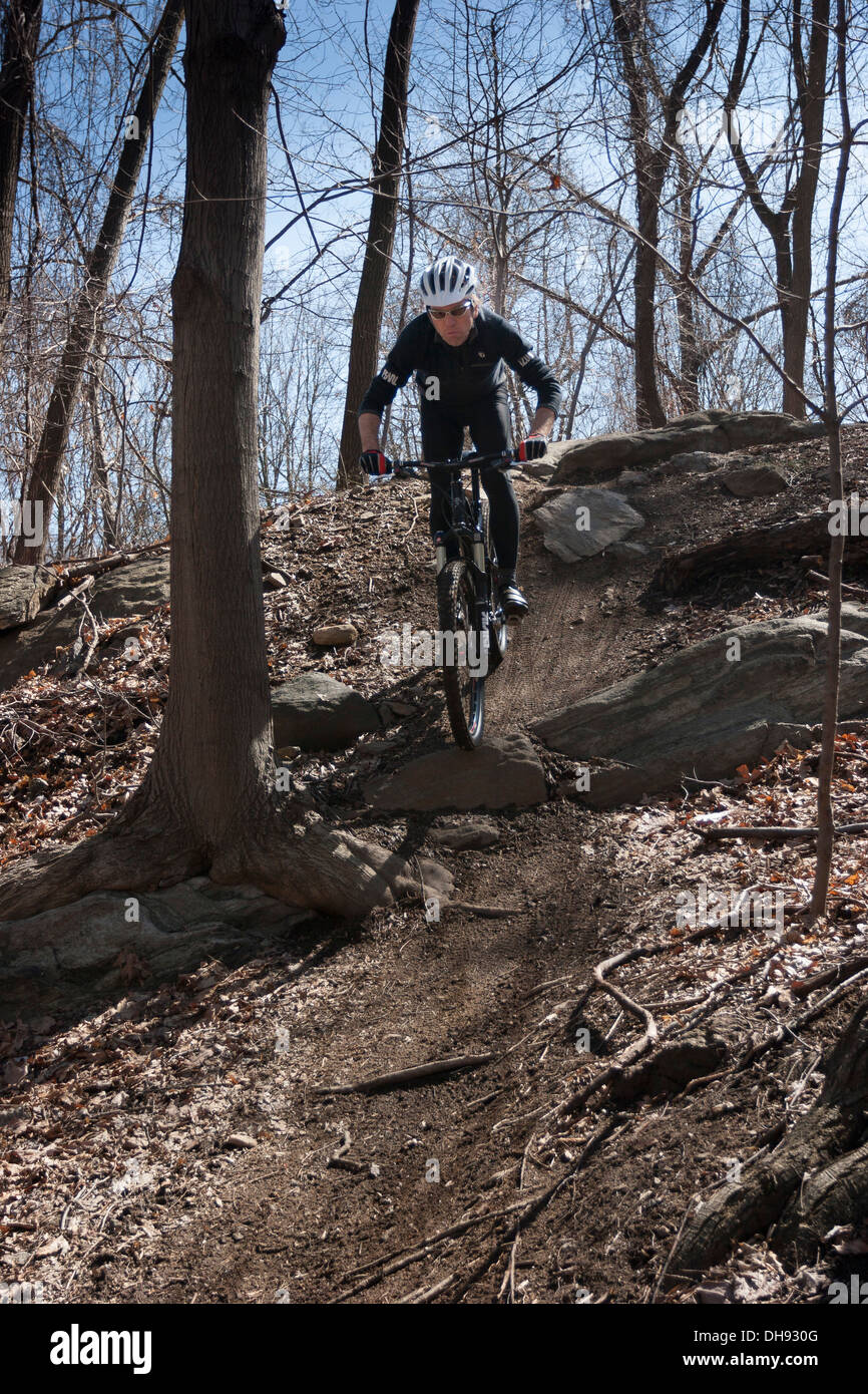 Man riding a mountain bike through the forest Stock Photo - Alamy