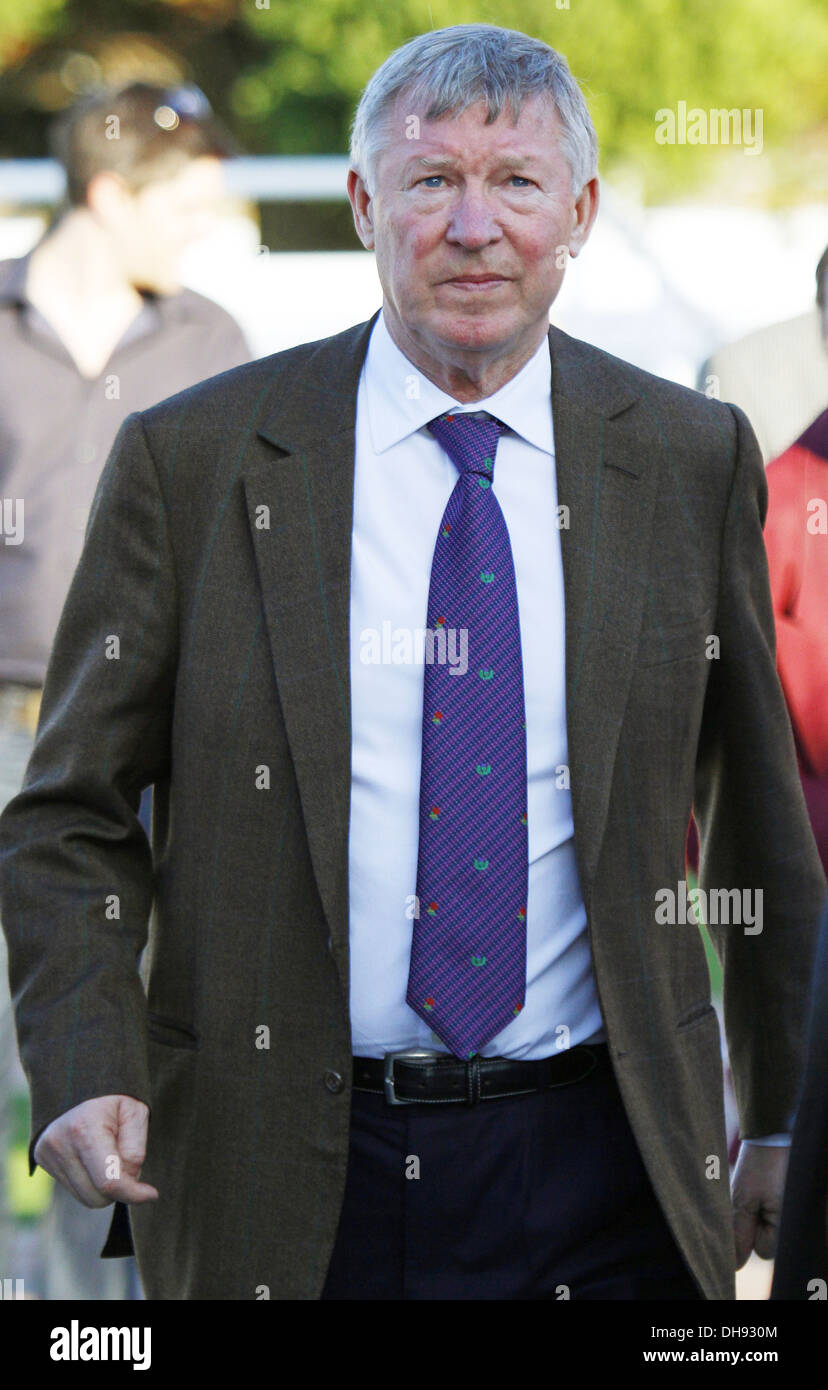 Sir alex ferguson horse hi-res stock photography and images - Alamy