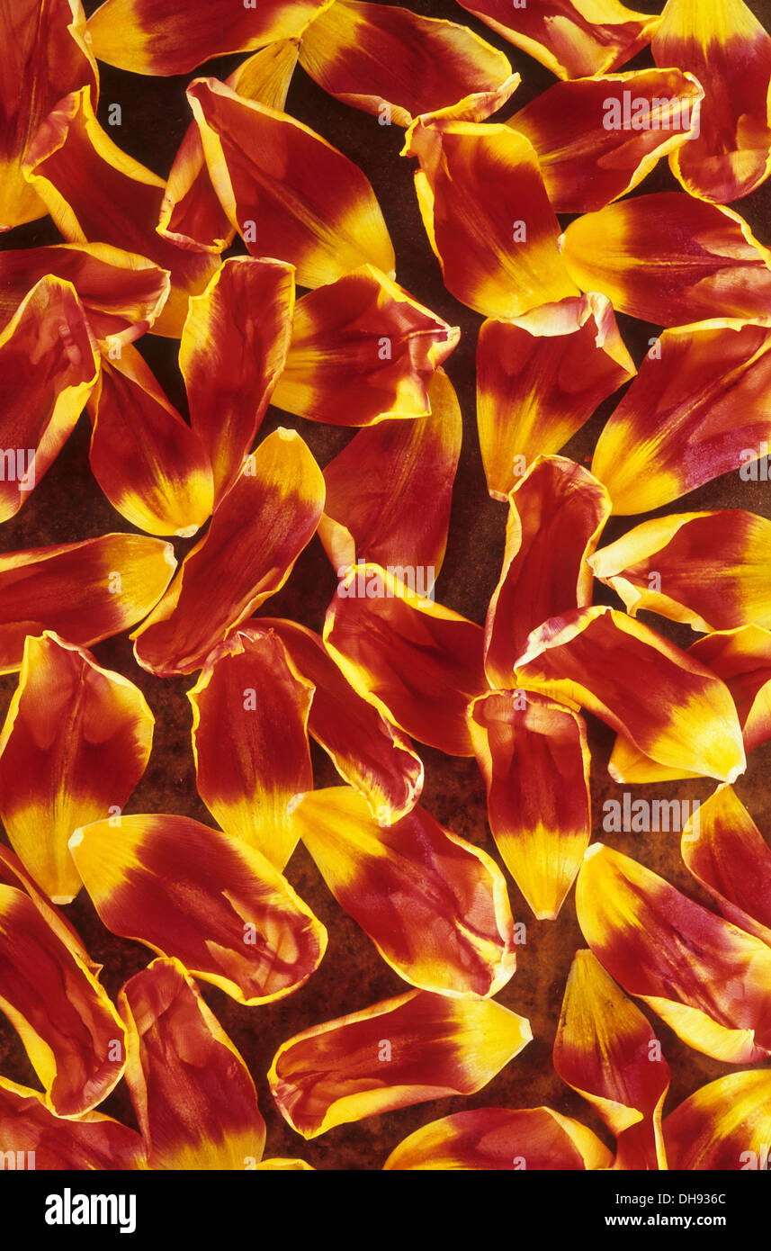 Scattered masses hi-res stock photography and images - Alamy