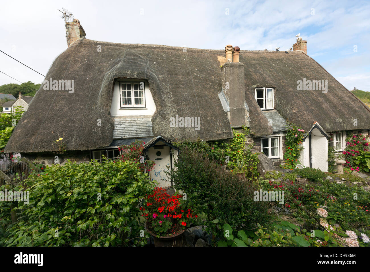 Thatched cottages at cadgwith hi-res stock photography and images - Alamy