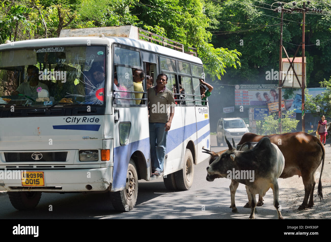 Local bus in Rishikesh, India Stock Photo - Alamy
