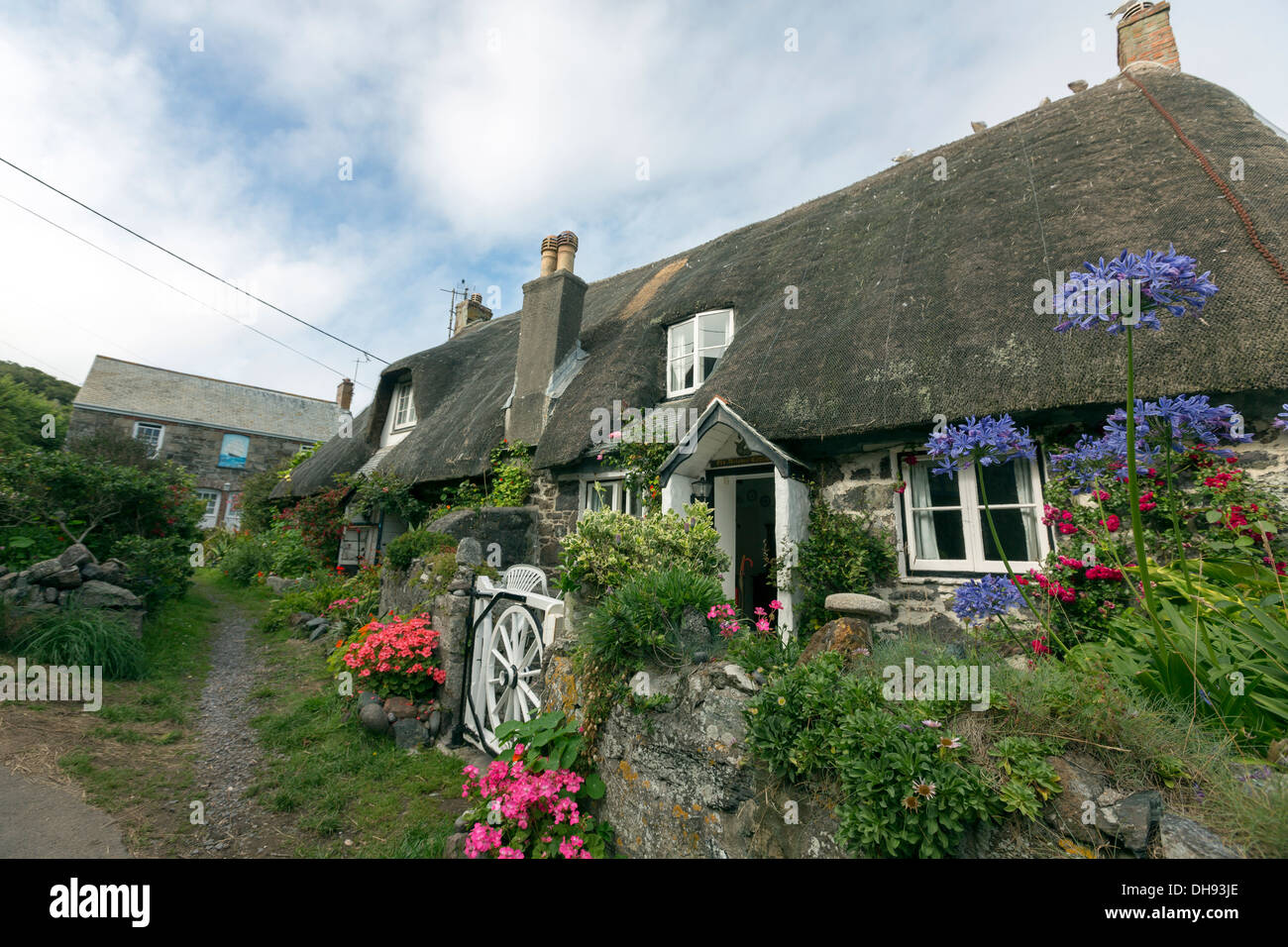 Beautiful thatched cottages in Cadgwith a fishing village located in ...