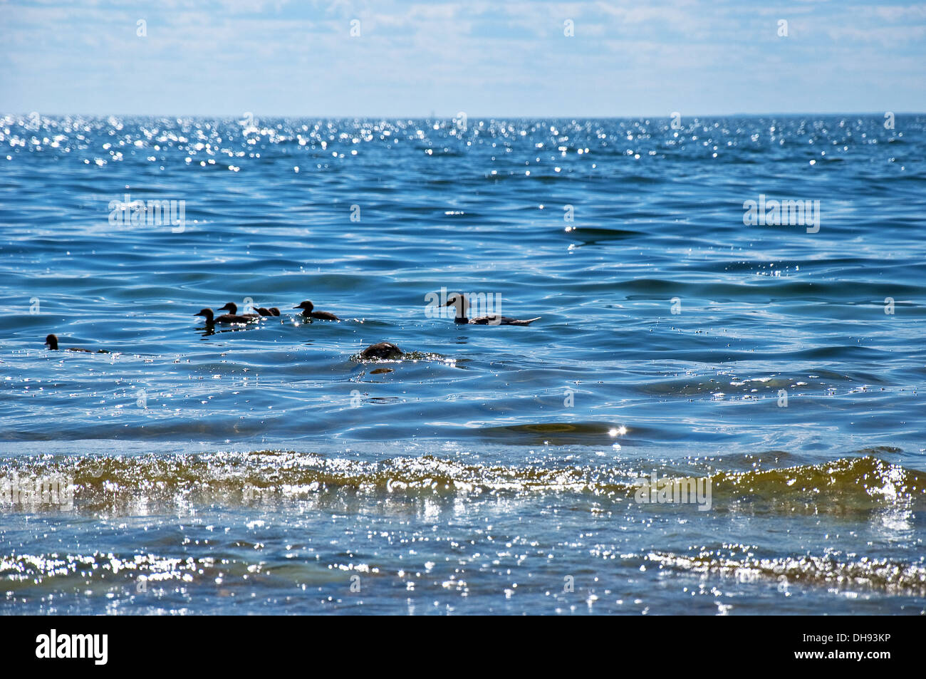 Glittering waves hi-res stock photography and images - Alamy