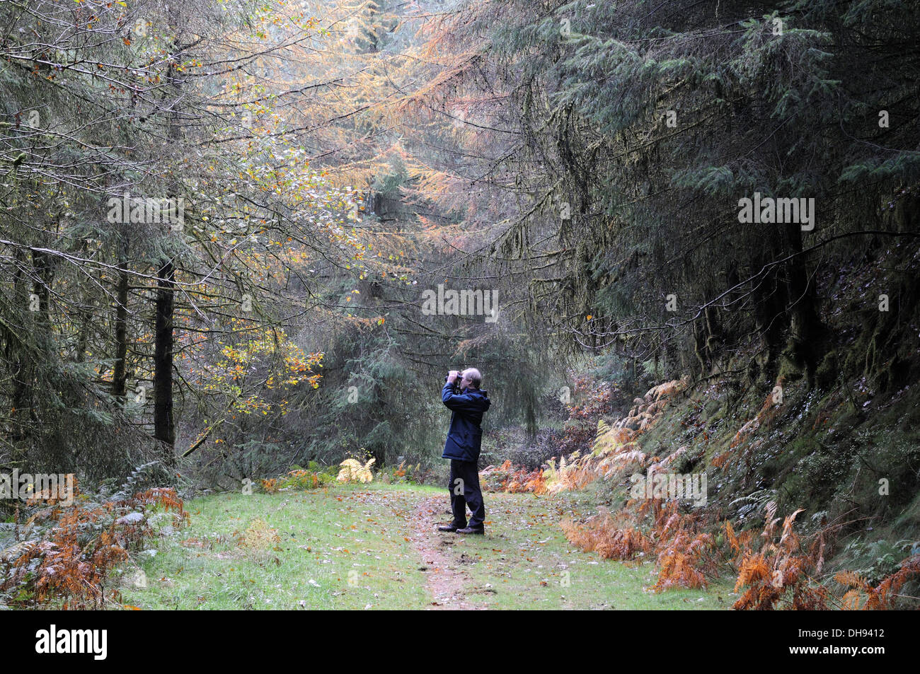 Man bird watching hi-res stock photography and images - Alamy