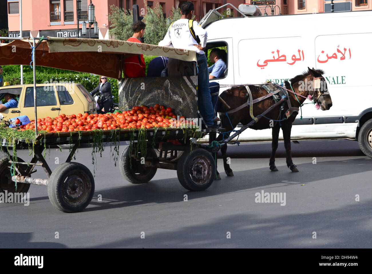 Donkey pulling a cart through the streets in Marrakesh, Morocco Stock ...