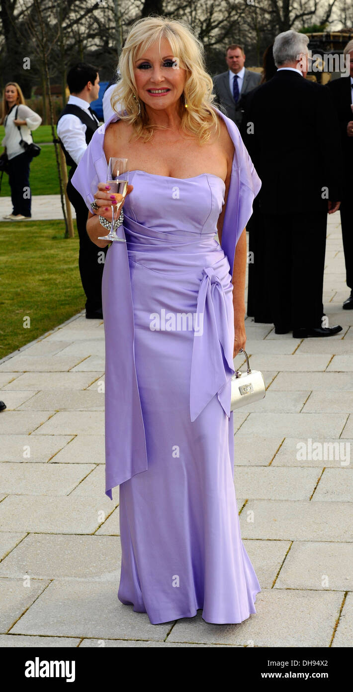 Carol harrison soldiering on held hi-res stock photography and images ...