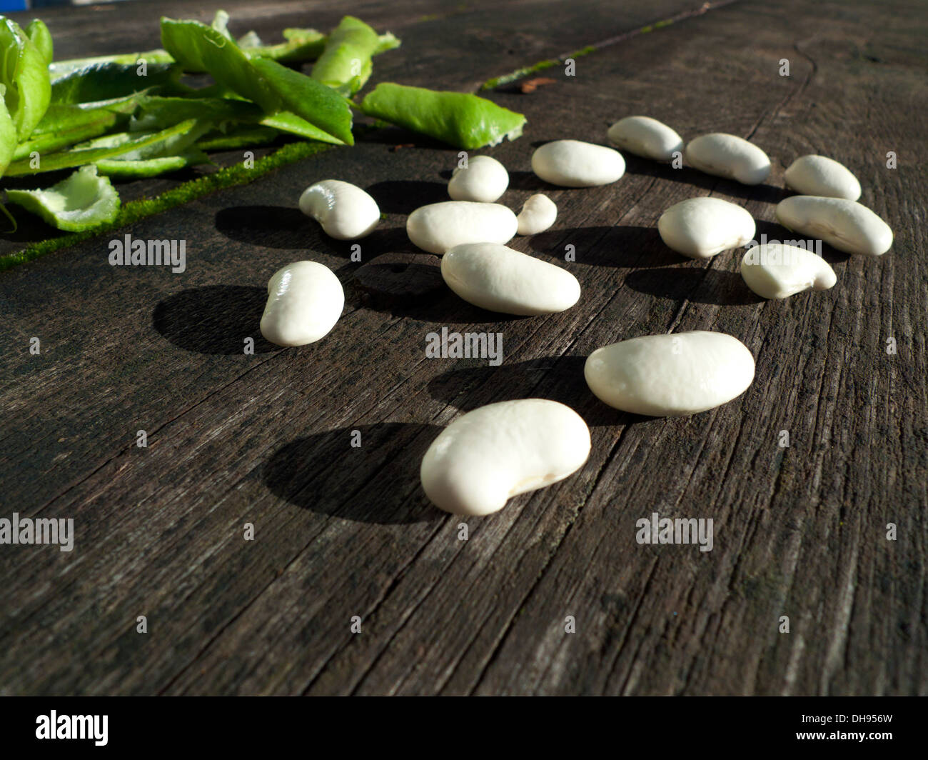 Dried runner bean hi-res stock photography and images - Alamy