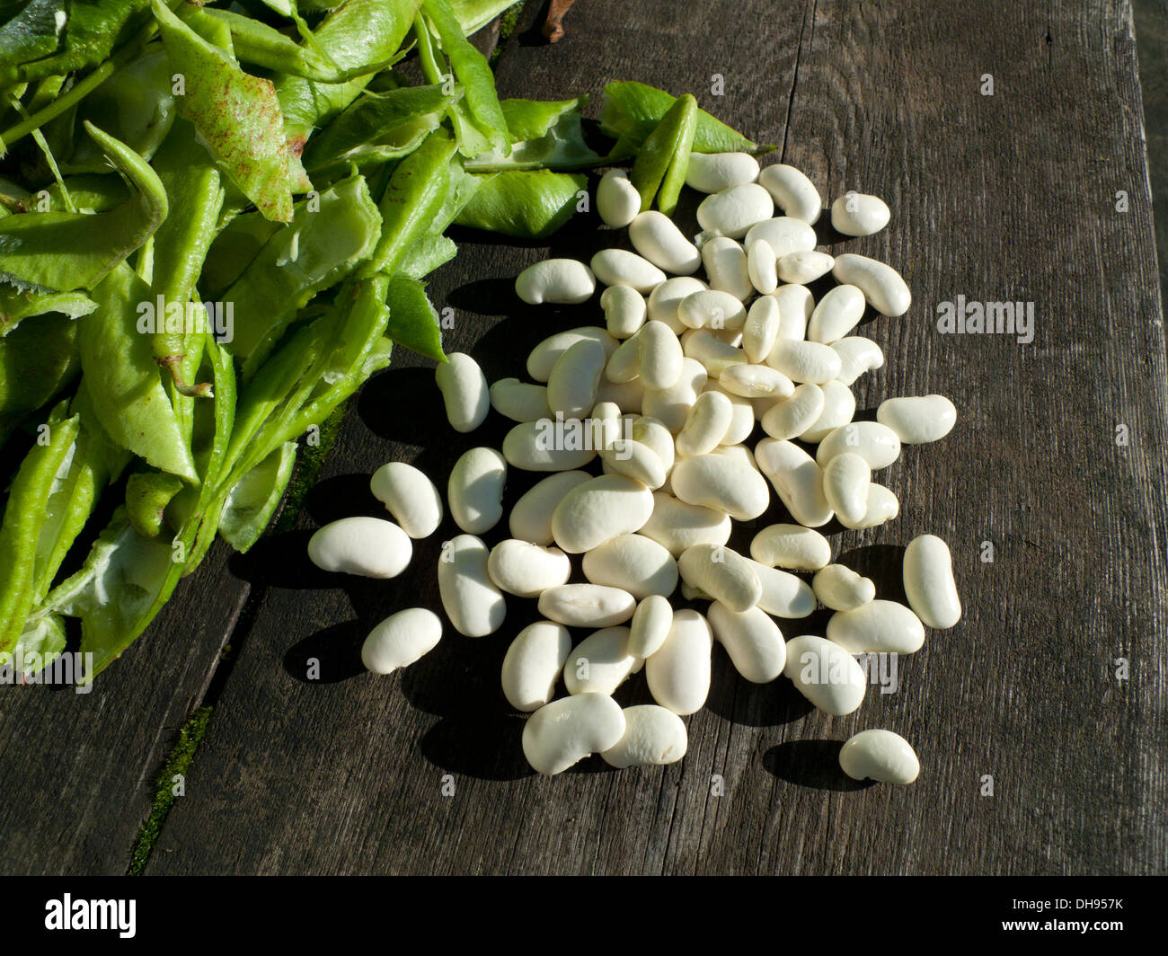 Runner beans hi-res stock photography and images - Alamy