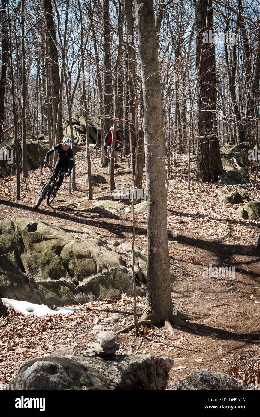 Man riding a mountain bike through the forest Stock Photo - Alamy