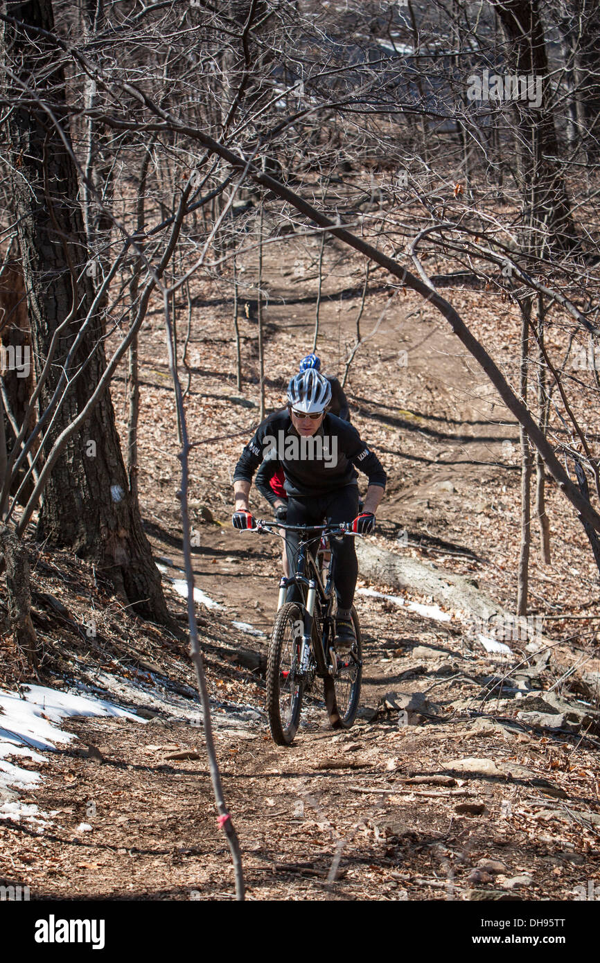 Man riding a mountain bike through the forest Stock Photo - Alamy