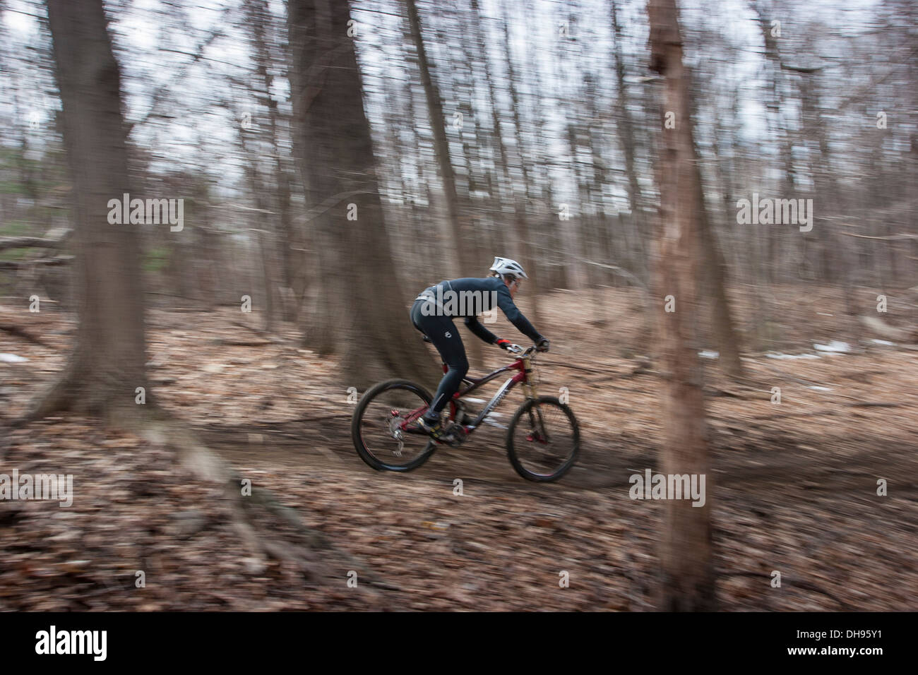 Man riding a mountain bike through the forest Stock Photo - Alamy