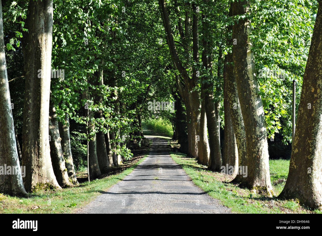 Private drive hi-res stock photography and images - Alamy