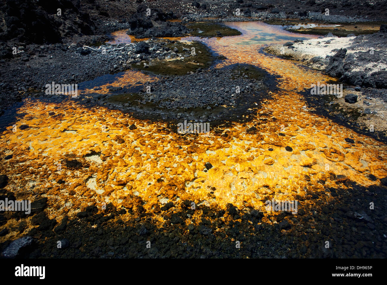 Hawaii, Maui, Kanaio, Pond Along The Rocky Kanaio Coast Stock Photo - Alamy