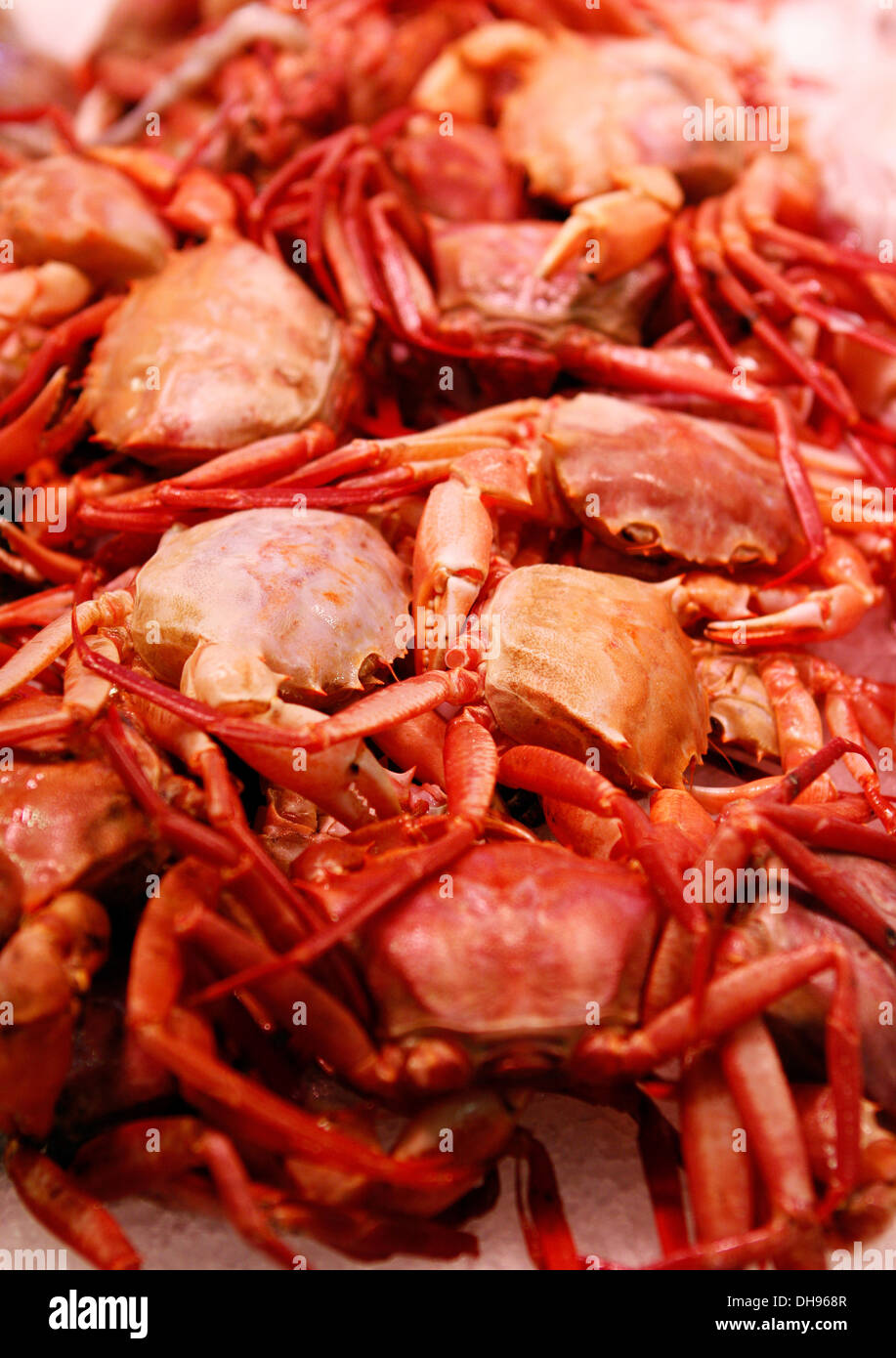 Different fish species seen at Palma de Mallorca´s city market, Spain ...