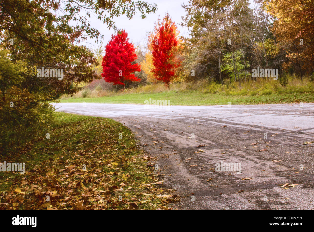 Brilliant fall colors trees hi-res stock photography and images - Alamy