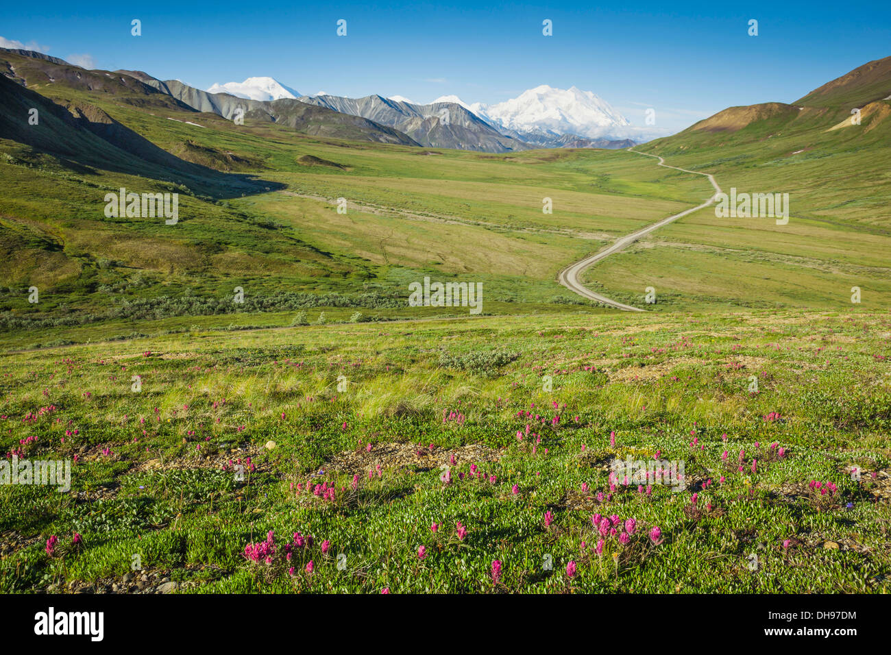 Mount Mckinley (Denali) As Seen On A Clear Morning From Stony Pass With ...