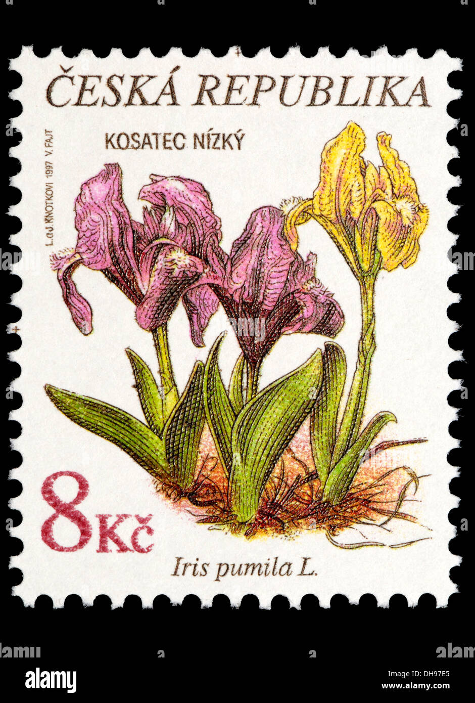Czech republic postage stamp flower hi-res stock photography and images ...