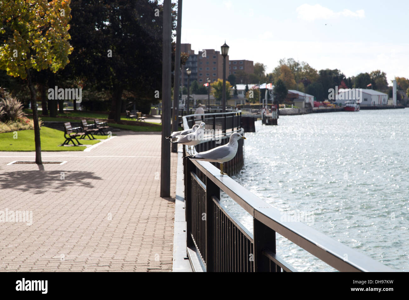Riverside yard hi-res stock photography and images - Alamy