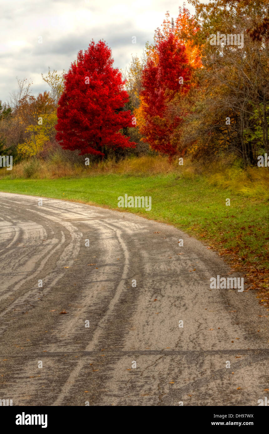 Brilliant red colors hi-res stock photography and images - Alamy