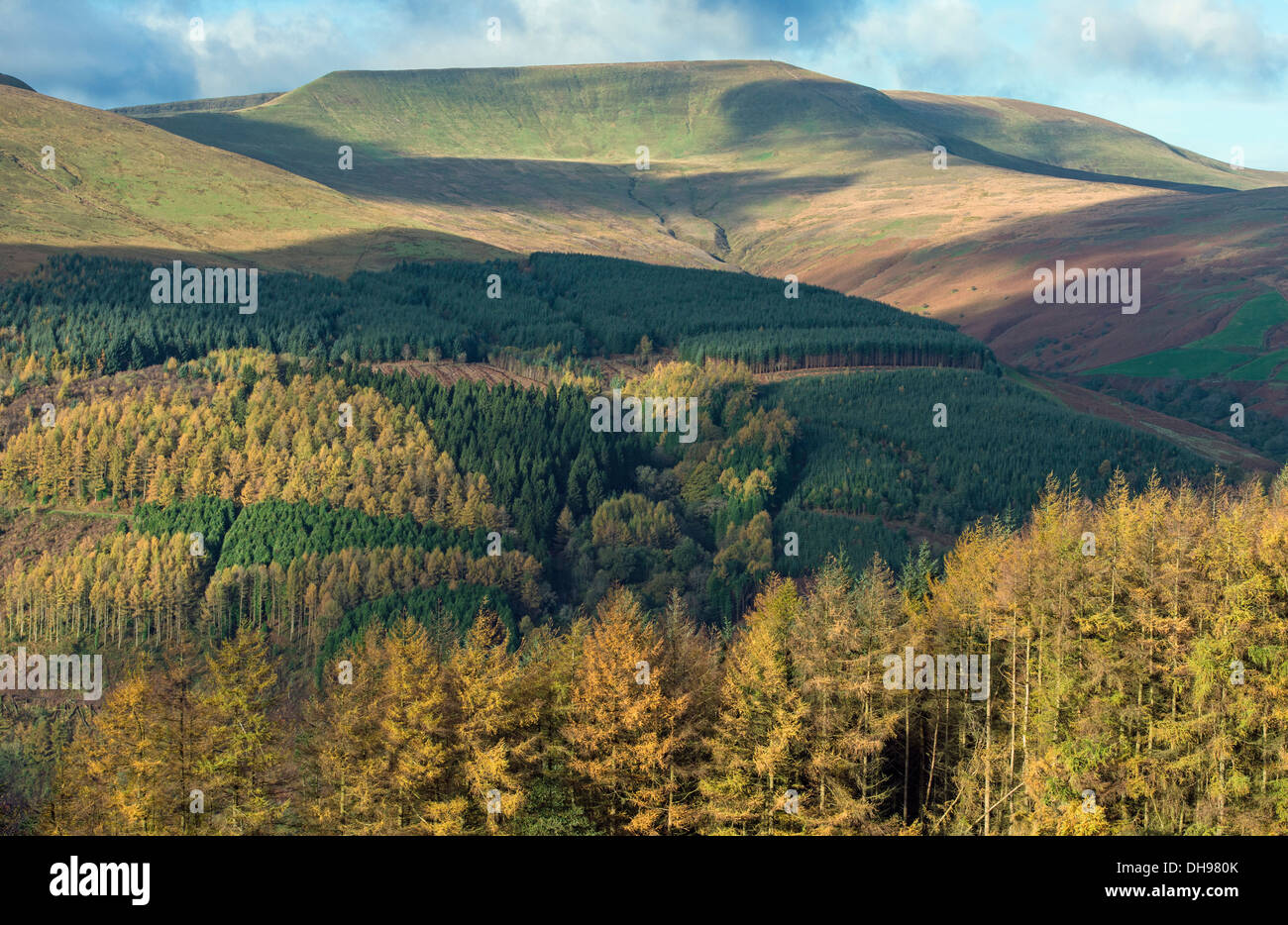 Welsh national colours hi-res stock photography and images - Alamy