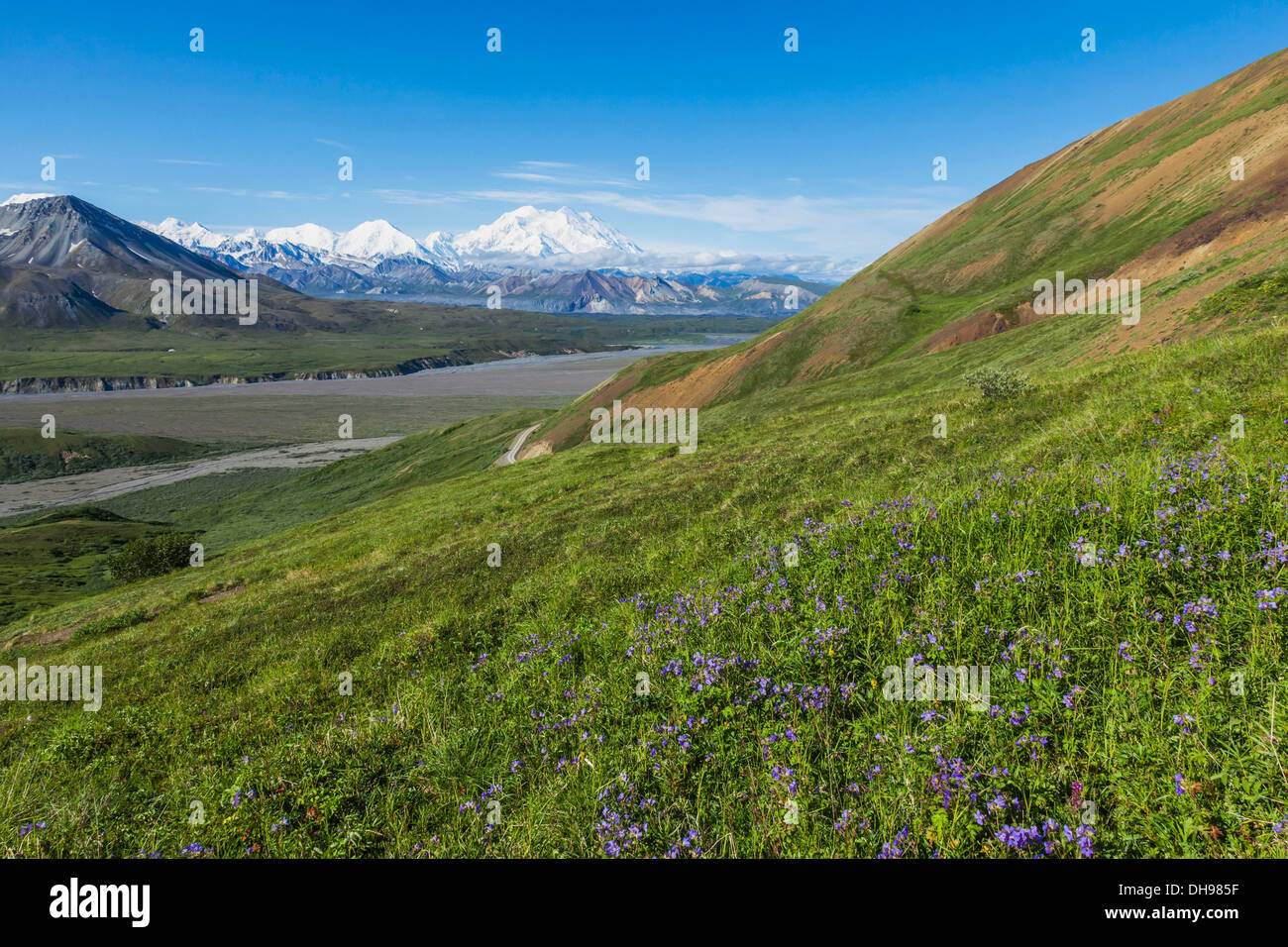 Scenic View Of Mount Mckinley (Denali) And Thorofare River From Mount ...