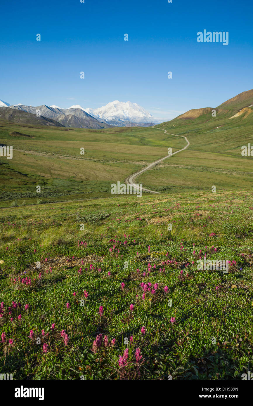 Mount Mckinley (Denali) As Seen On A Clear Morning From Stony Pass With ...