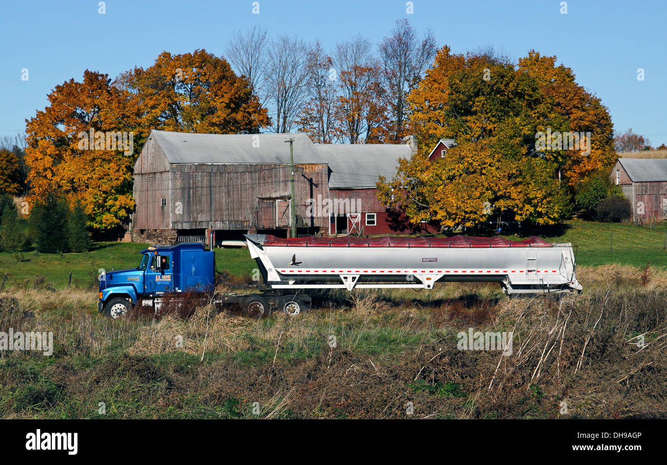Tractor trailer lorry on a farm road farm in background Stock Photo - Alamy