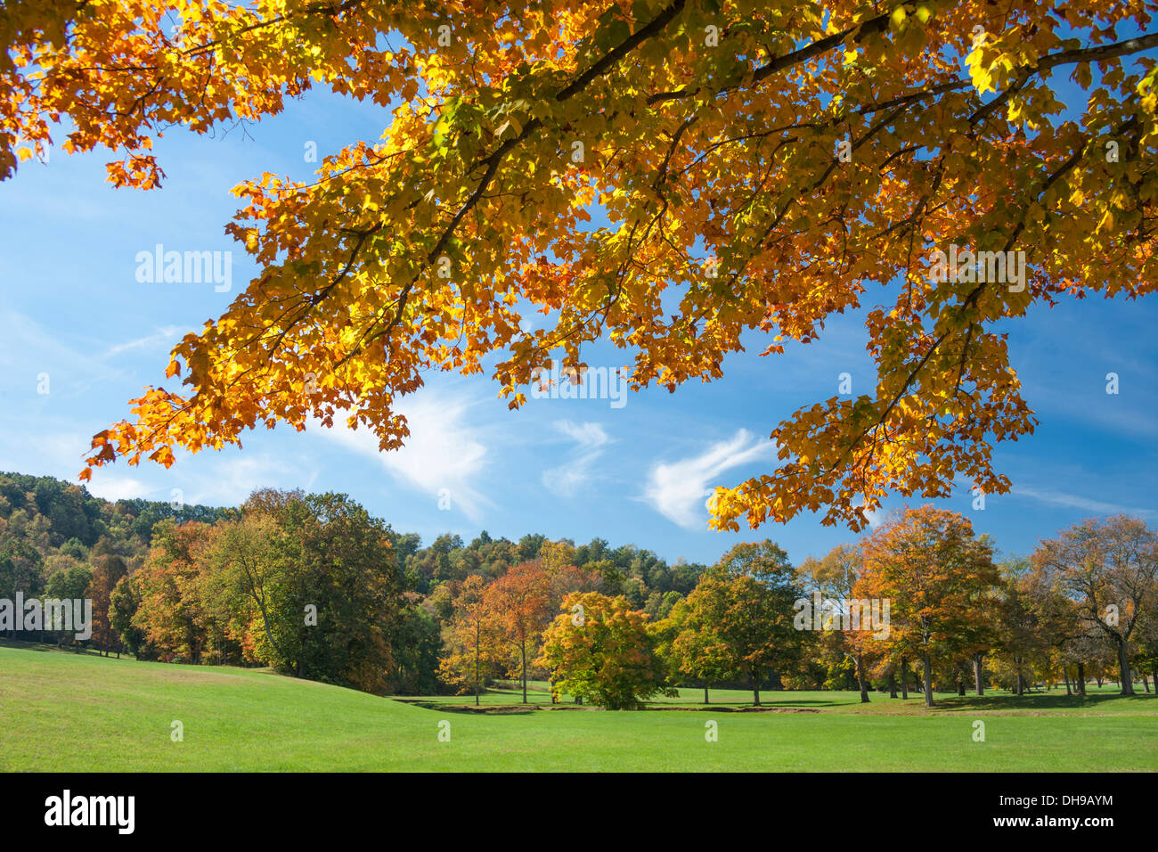 Fall Foliage Trees Indiana County High Resolution Stock Photography and ...