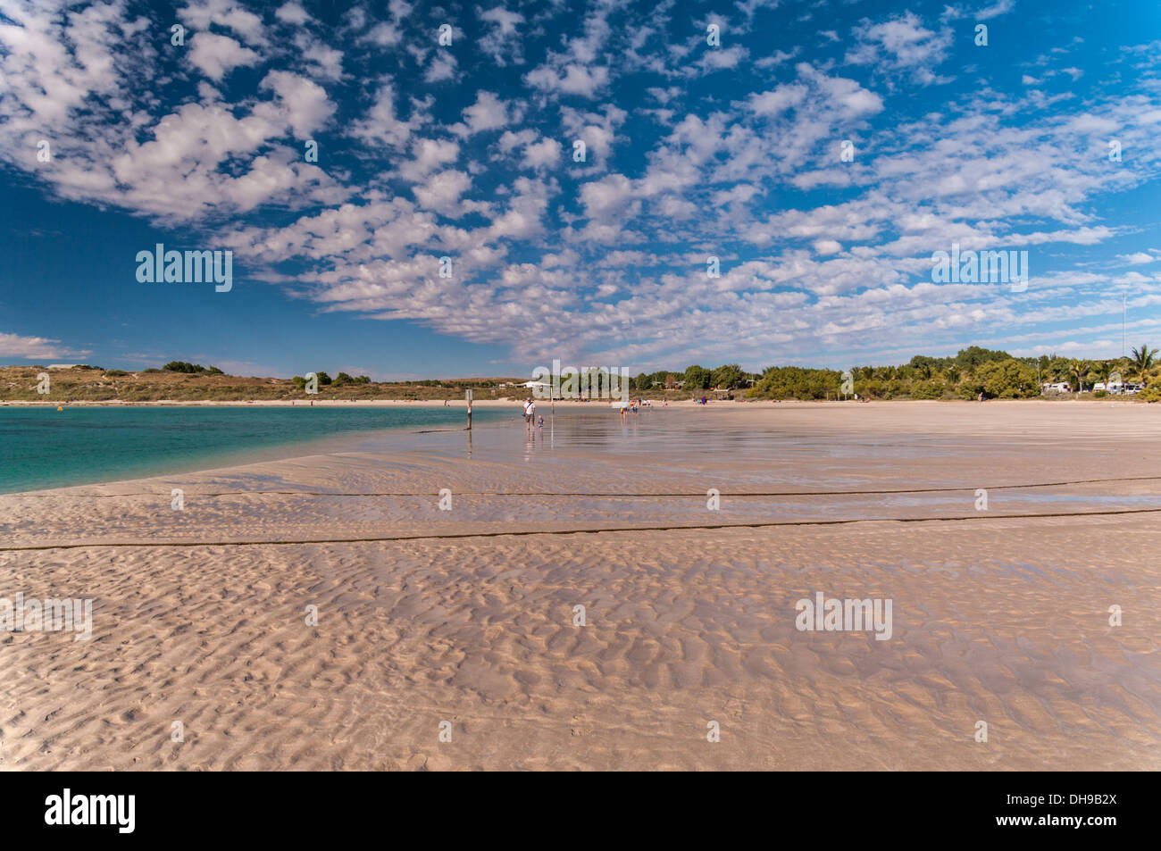 Coral bay, western australia hi-res stock photography and images - Alamy