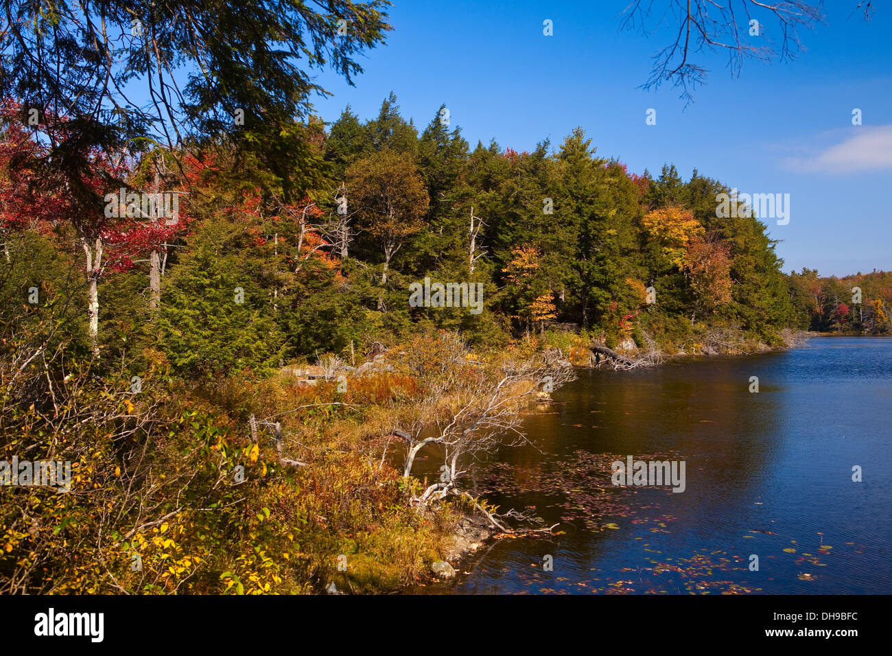 A lake is pictured in front of a colorful fall landscape in Berkshire ...