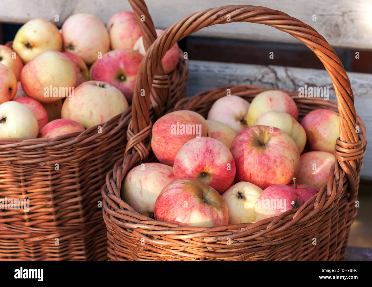 Garden harvest hi-res stock photography and images - Alamy