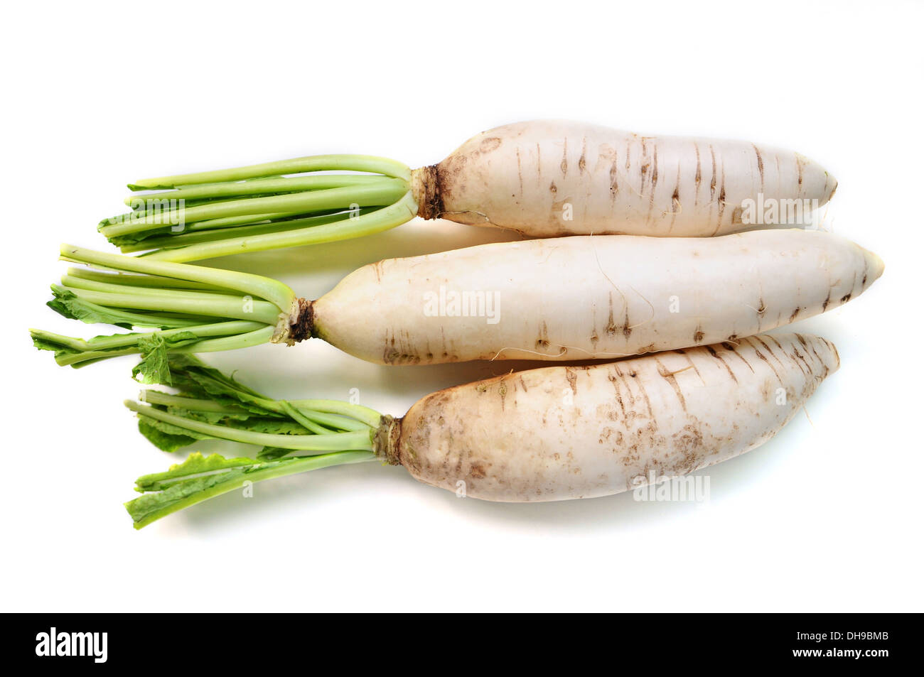 Root radish Cut Out Stock Images & Pictures - Alamy